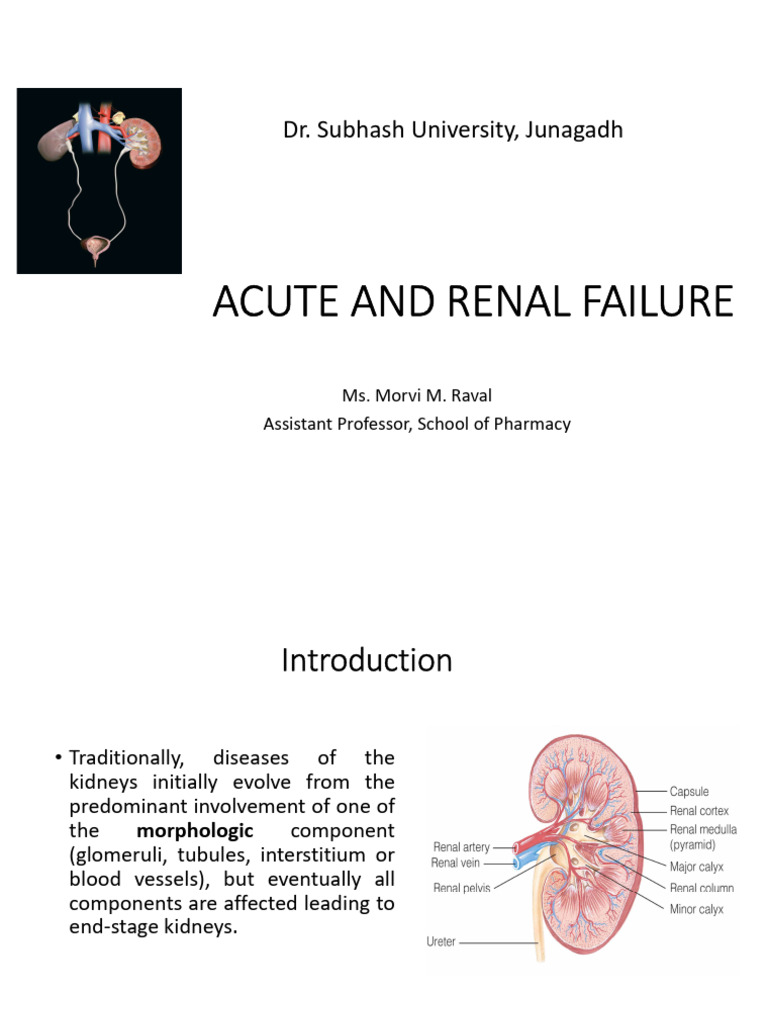 Acute and Renal Failure | PDF | Kidney | Diseases And Disorders