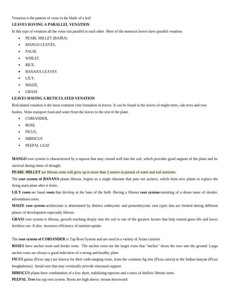 Leaf Venation Is The Pattern of | PDF
