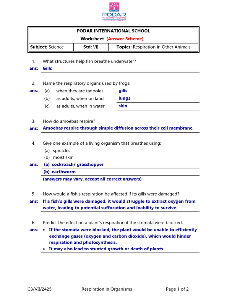 Class 7 Science: Respiration Worksheet | PDF | Respiratory System | Gill
