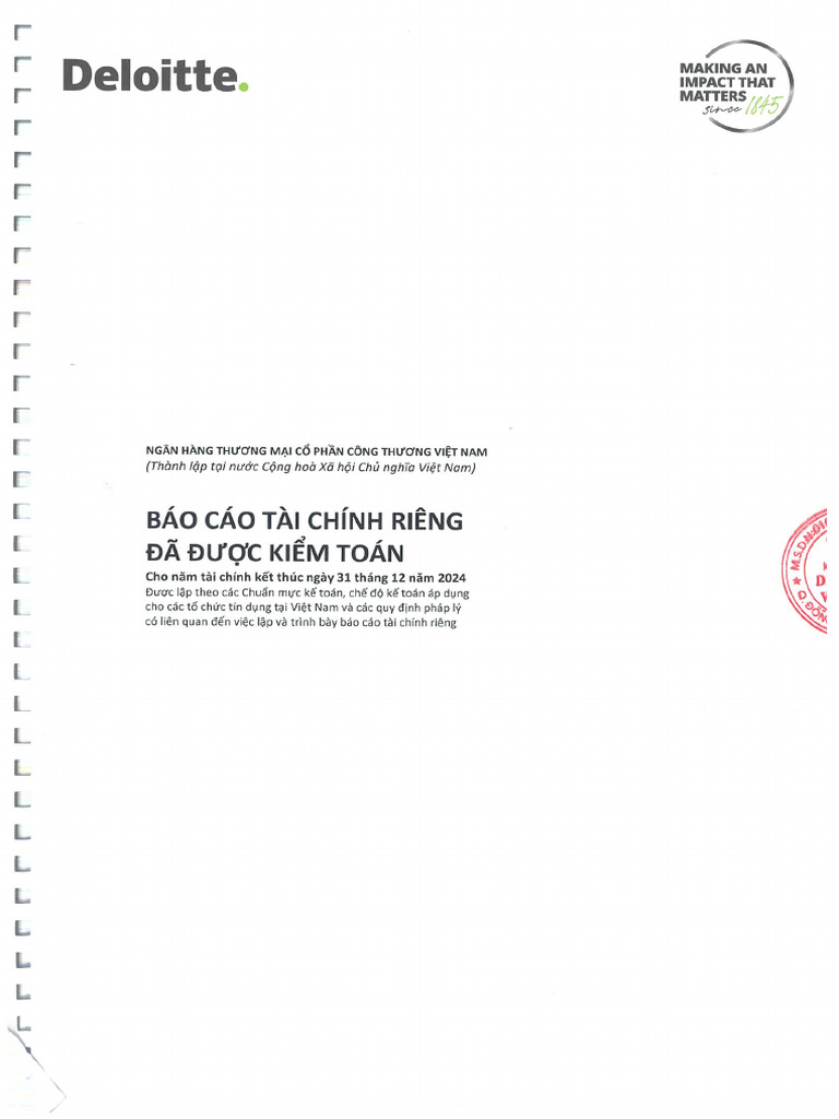 BCTC Rieng Le Kiem Toan Nam 2024 | PDF