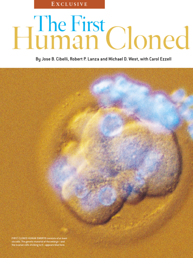 The First Human Cloned Embryo (286, 44-51 (January 2002) ) | PDF | Cloning | Embryo