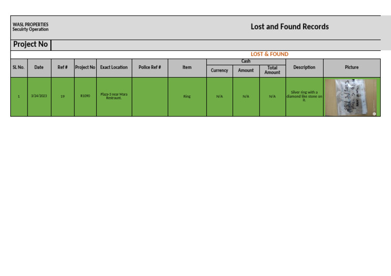 Lost and Found Format | PDF
