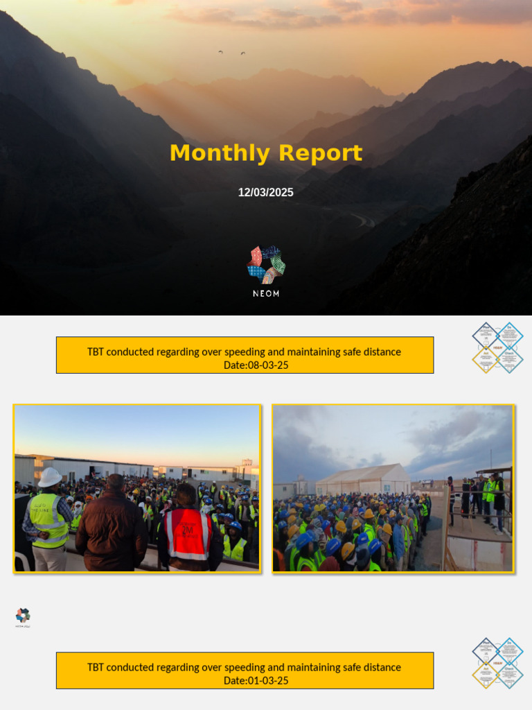 Monthly Report | PDF