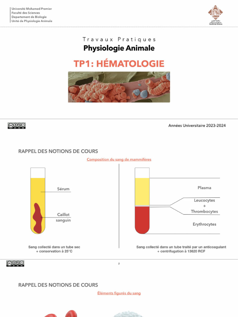 Manip 1 Physio Animale | PDF
