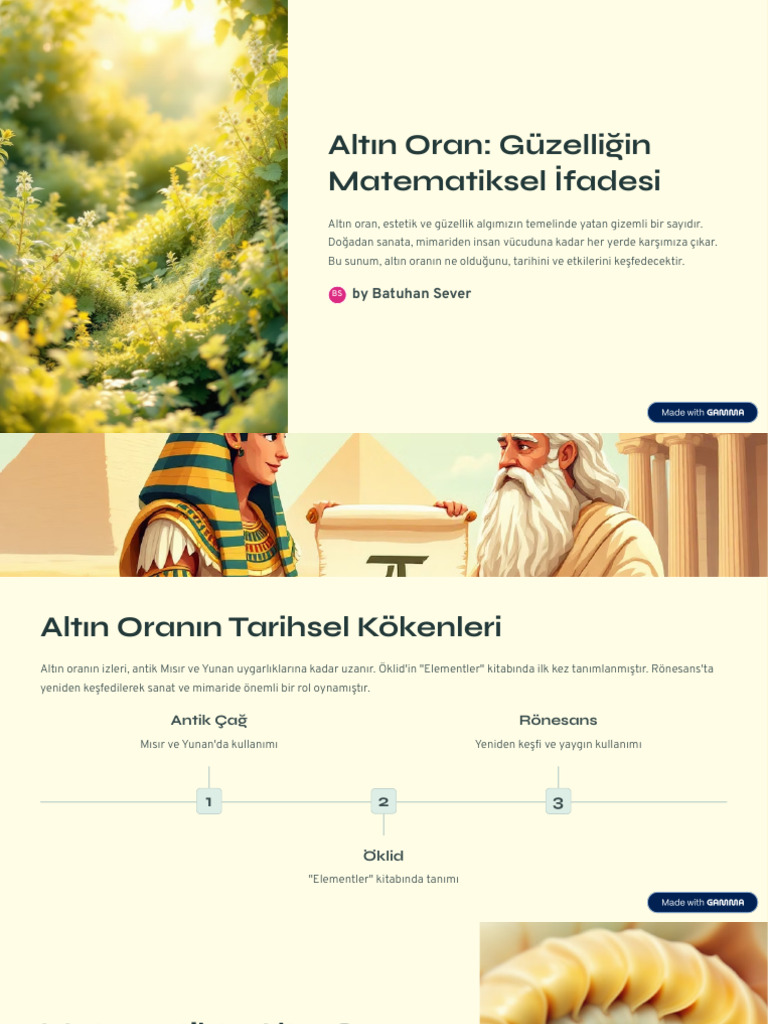 Altin-Oran-Guzelligin-Matematiksel-Ifadesi | PDF