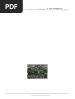 Safeda Tree Description Lavish Sharma | PDF