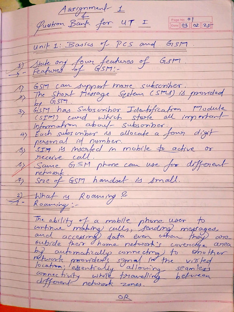 WMN Assign 1 Swaraj | PDF