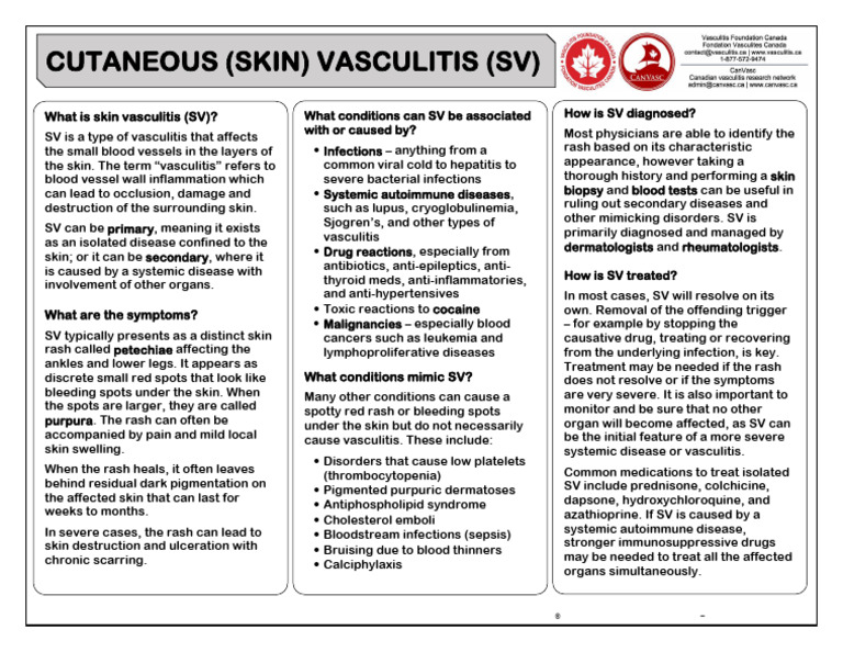 Understanding Cutaneous Vasculitis | PDF | Immunology | Human Diseases ...