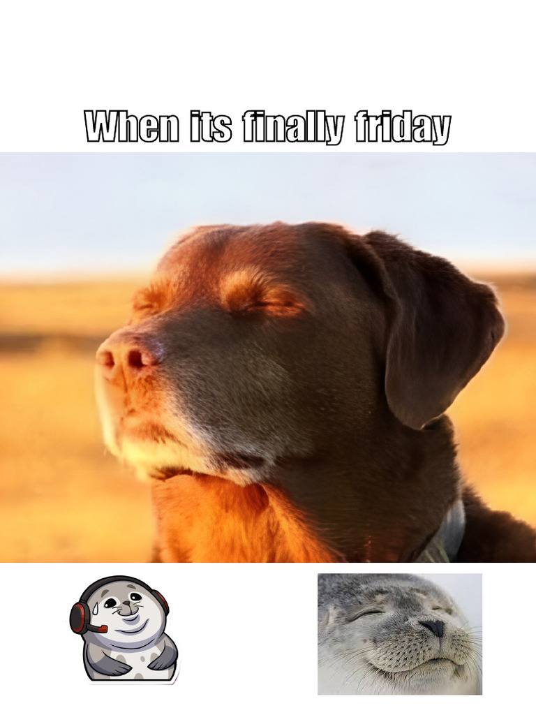 When its finally friday | PDF