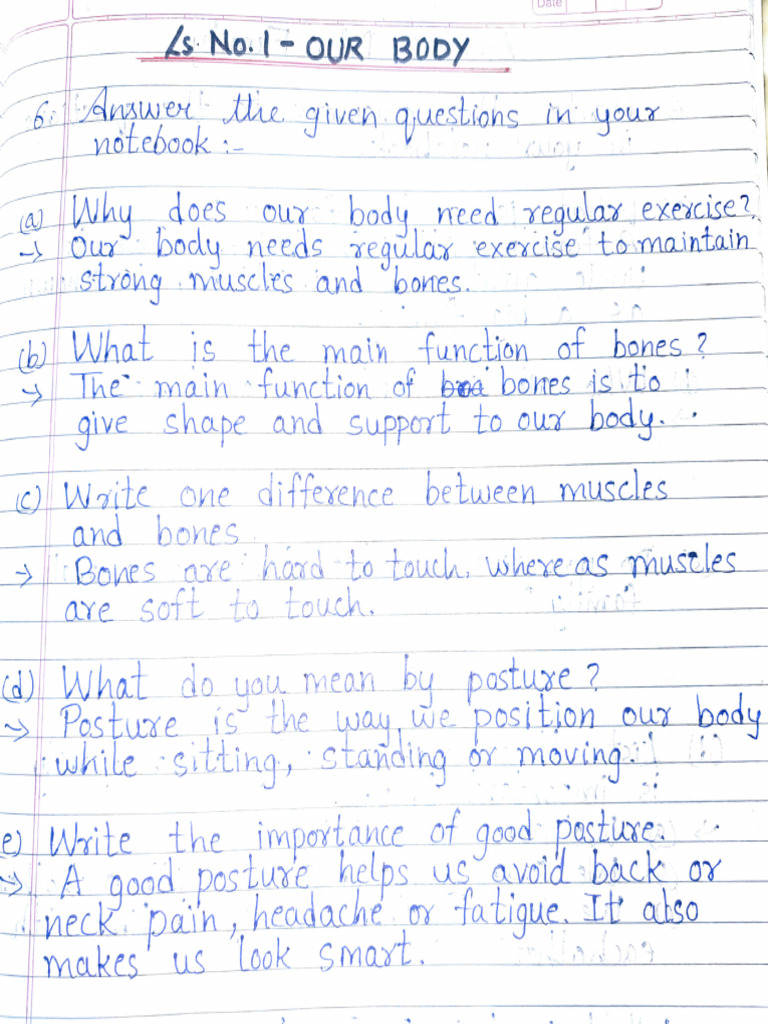 STD 2nd EVS All Lessons Q.A | PDF