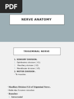 Maxillary Injections Cheat Sheet | PDF | Dentistry | Dentistry Branches