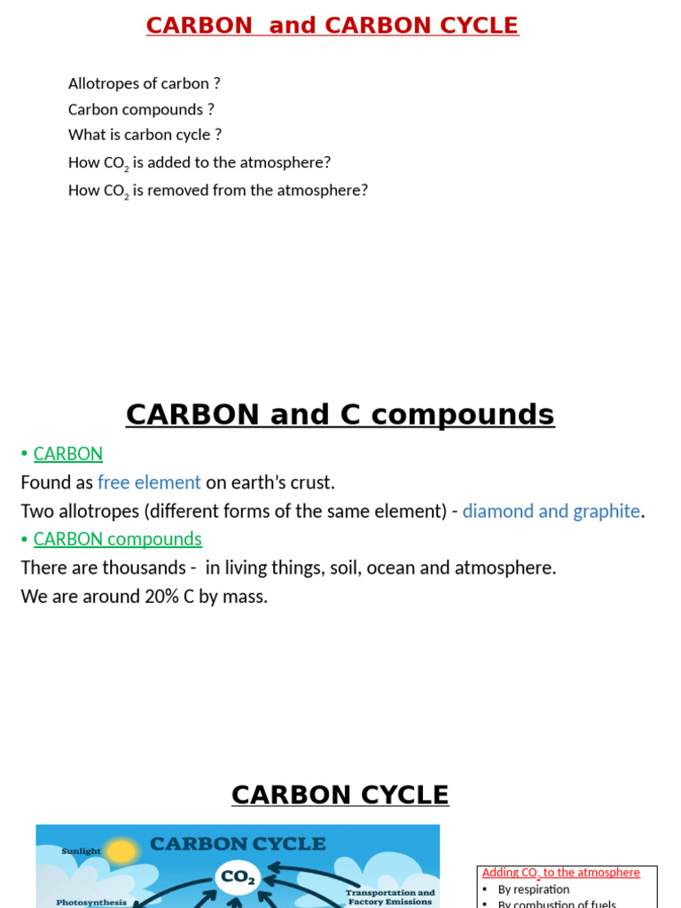 5+ +Carbon++and+Carbon+Cycle | PDF