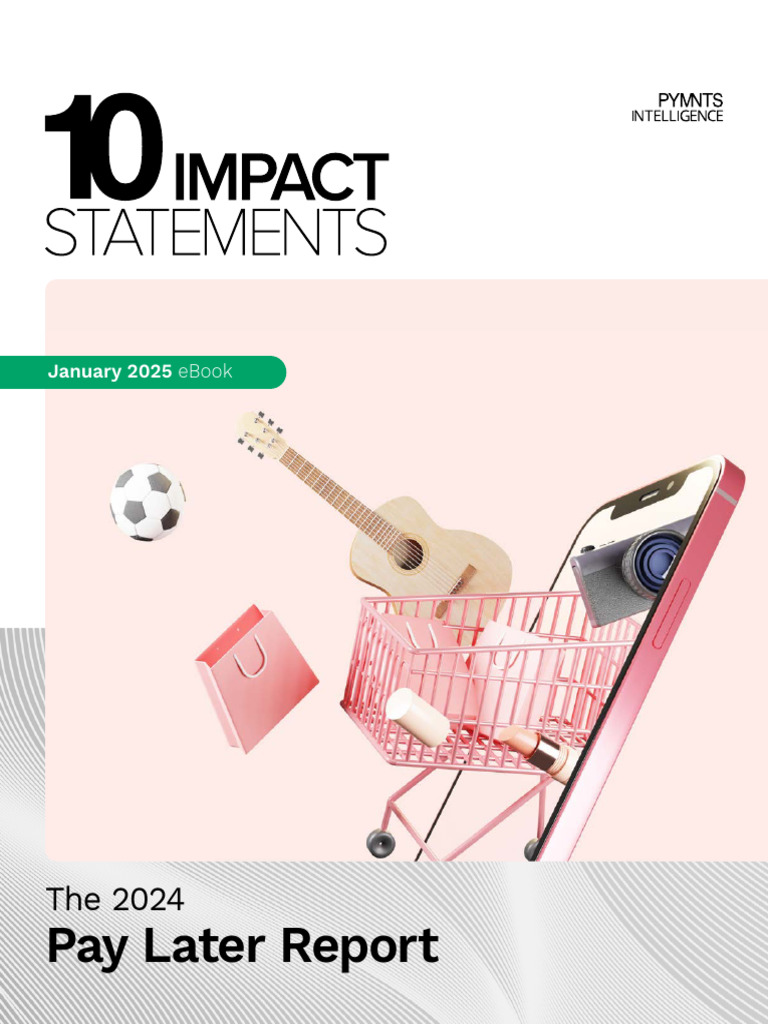 2024 Pay Later Consumer Insights Report | PDF | Credit Card | Millennials