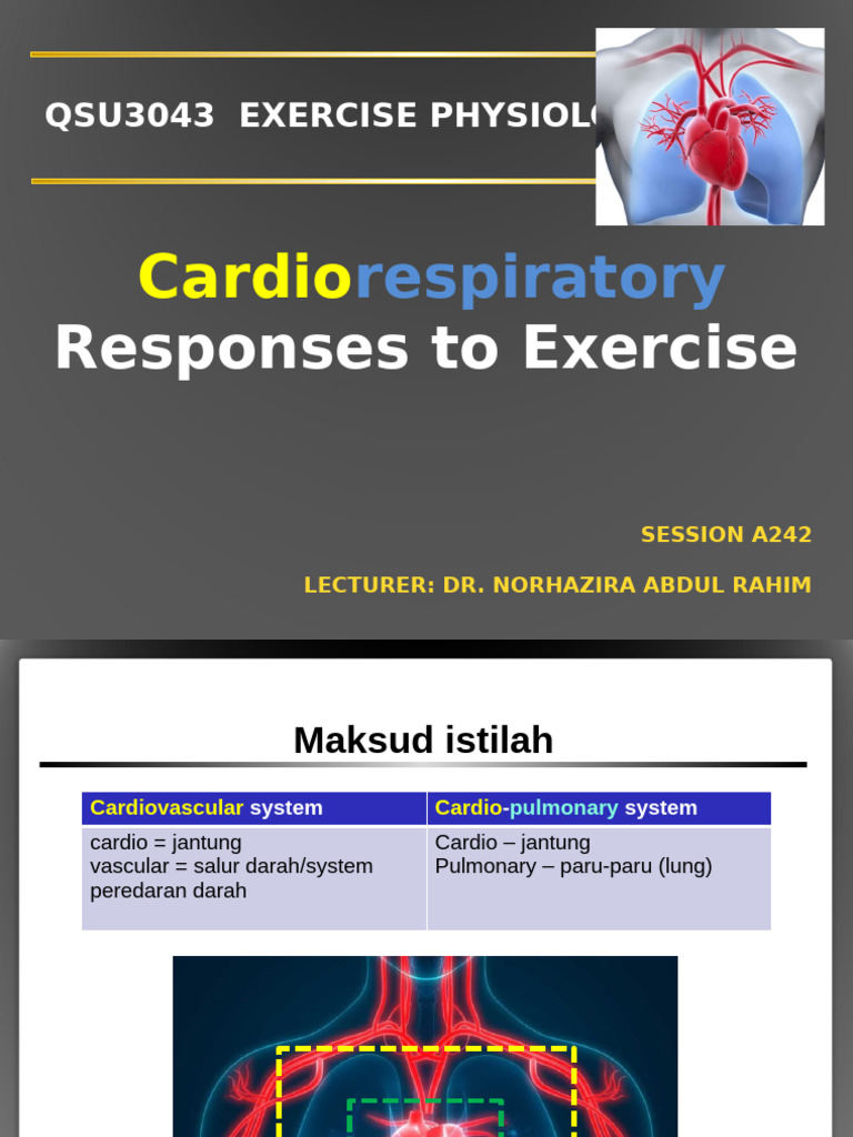 Lecture 3 - A242 Cardiorespiratory Responses To Acute Exercise | PDF ...