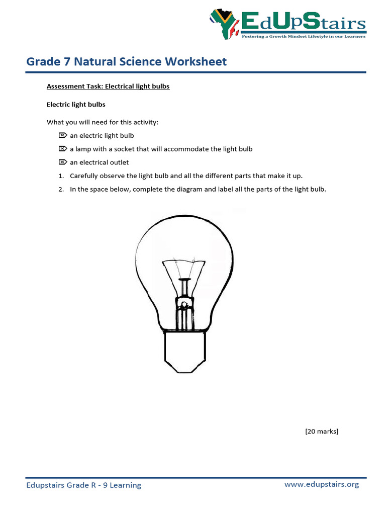 Electrical Light Bulbs | PDF | Incandescent Light Bulb | Learning