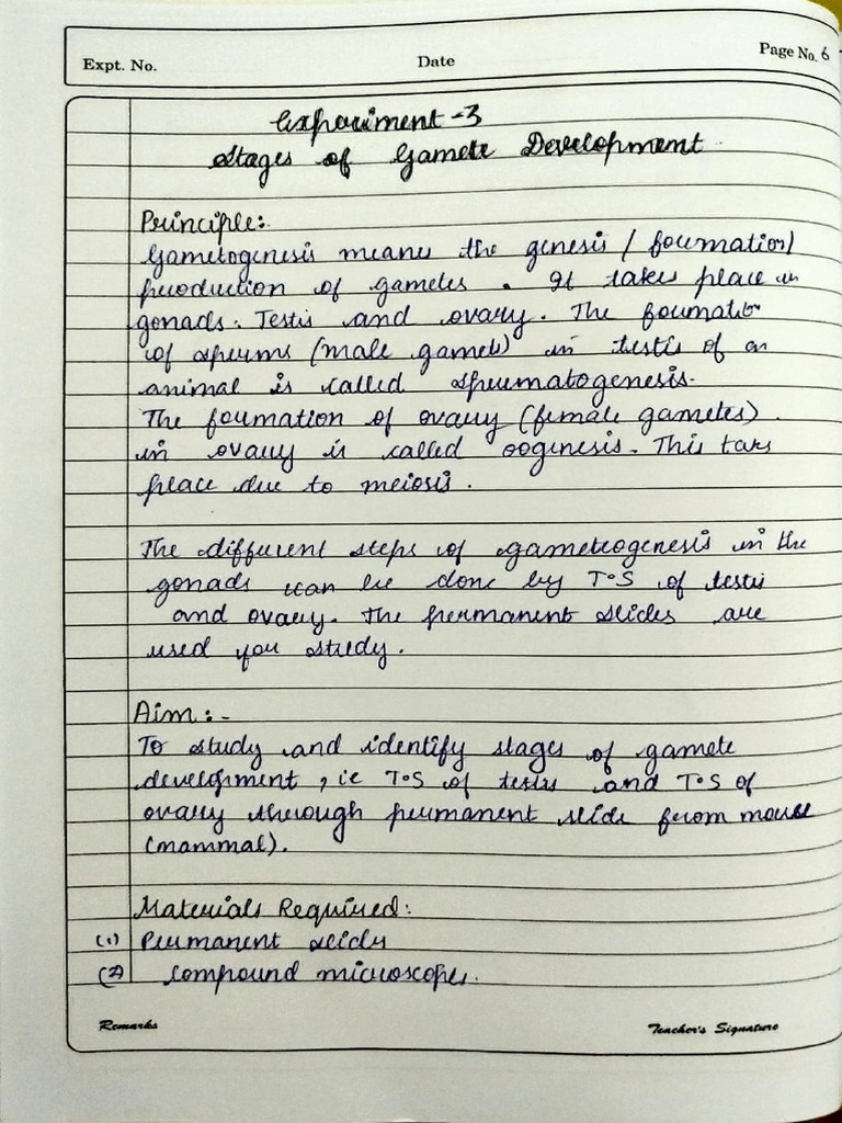 Experiment -3 Bio | PDF | Reproduction | Reproductive System