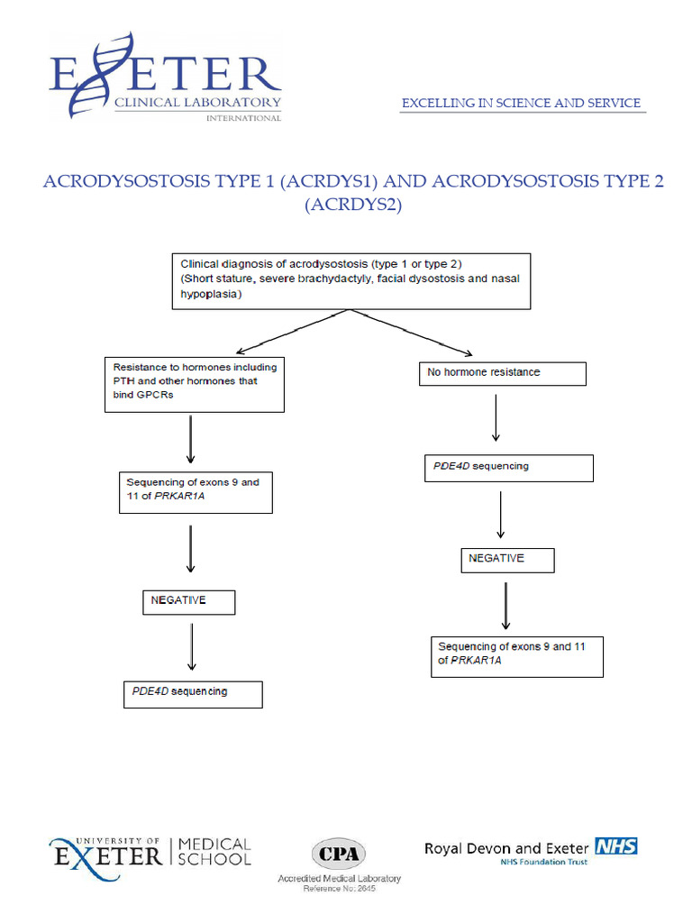 Acrodysostosis Type 1 Acrdys1 and Acrodysostosis Type 2 Acrdys25 | PDF