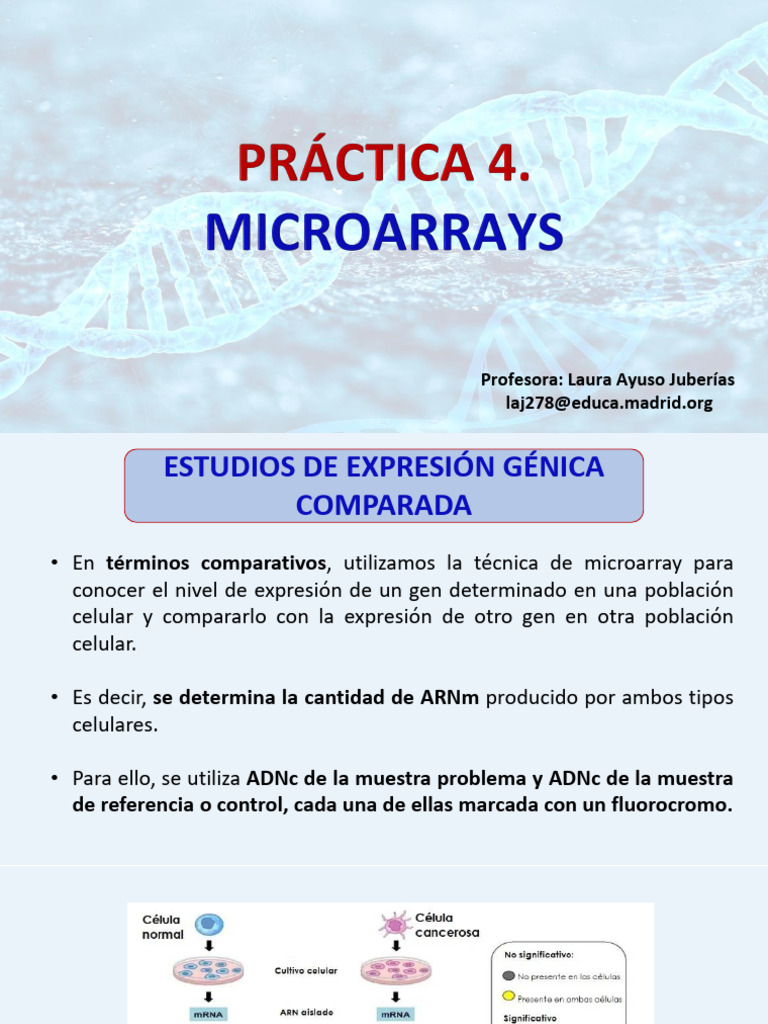 Práctica 4. Microarrays | PDF | Adn Microarray | Biotecnología