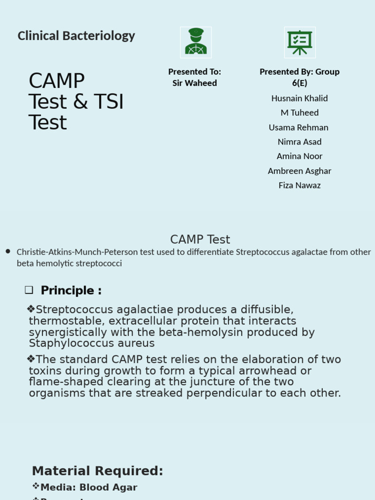 CAMP Test & TSI Test (1) | PDF | Microbiology