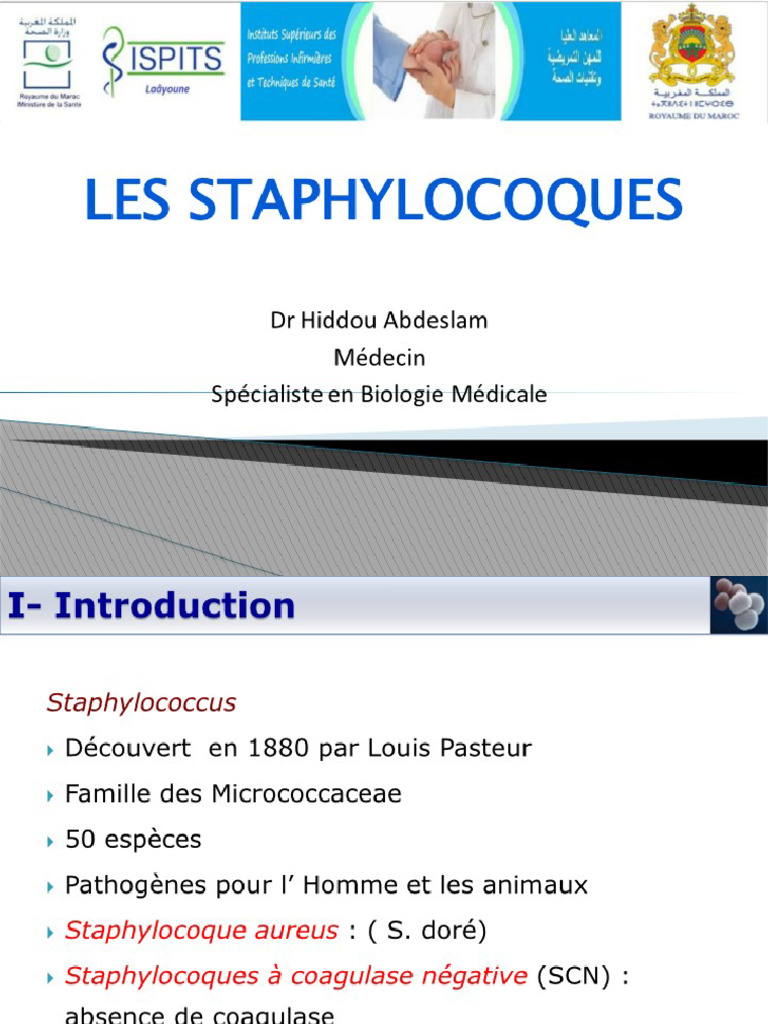 3-Les Staphylocoques Final | PDF