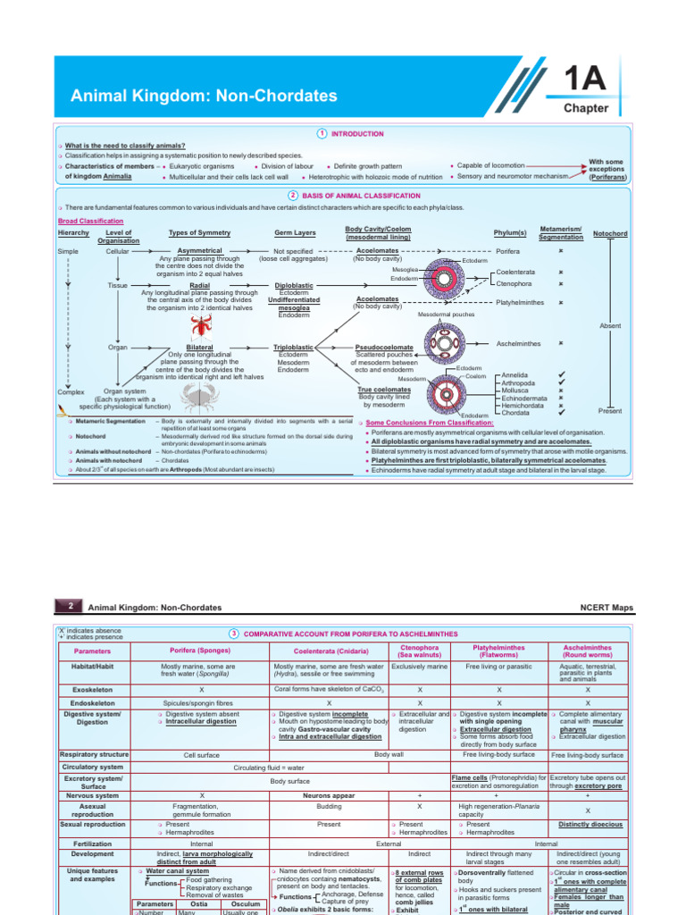 Aakash Mind Map (ZOOLOGY)_removed | PDF | Epithelium | Sponge