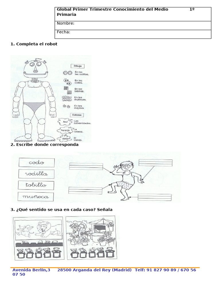 Control Cono Global Primer Trimestre | PDF