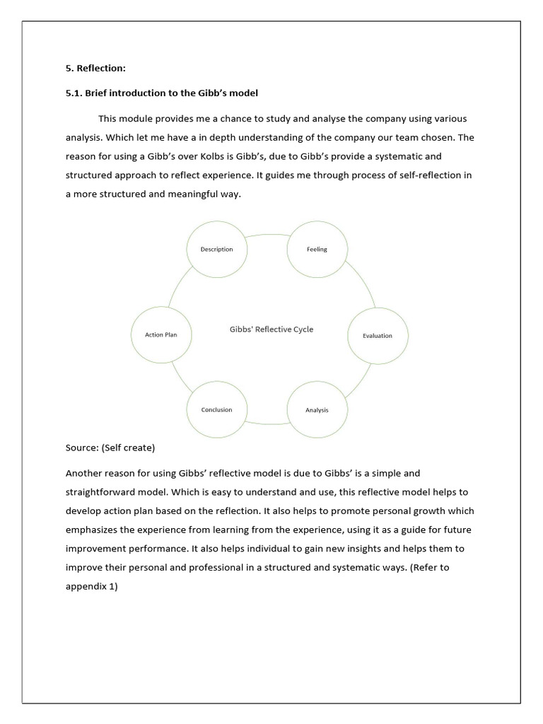 Example Individual Reflection Report V3 | PDF | Swot Analysis | Experience
