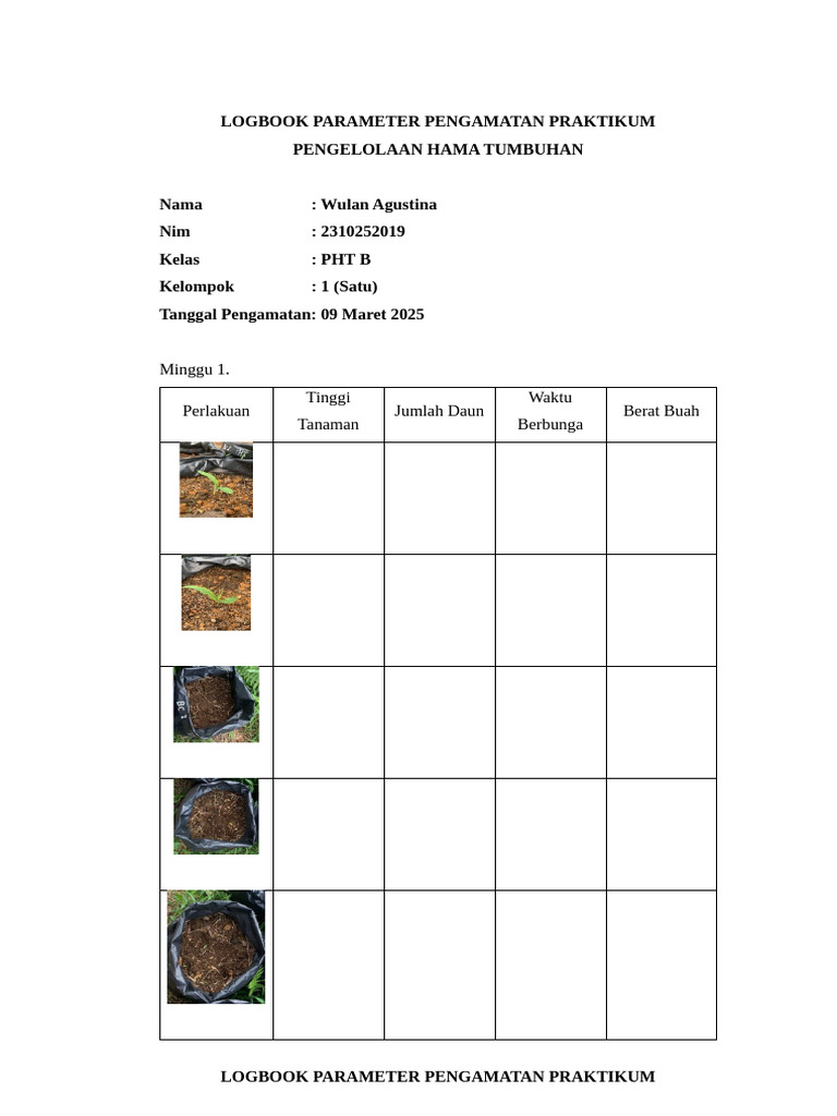 template logbook pht | PDF