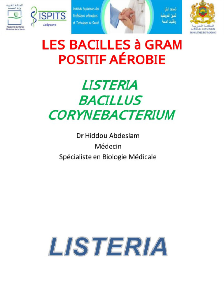 6-Les Bacilles Gram Positif Aerobies Listeria Bacillus Corynebacterium ...