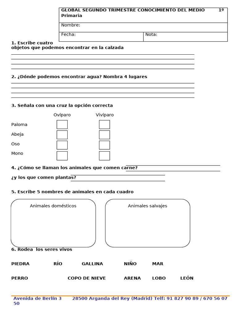 Control Cono Segundo Trimestre | PDF