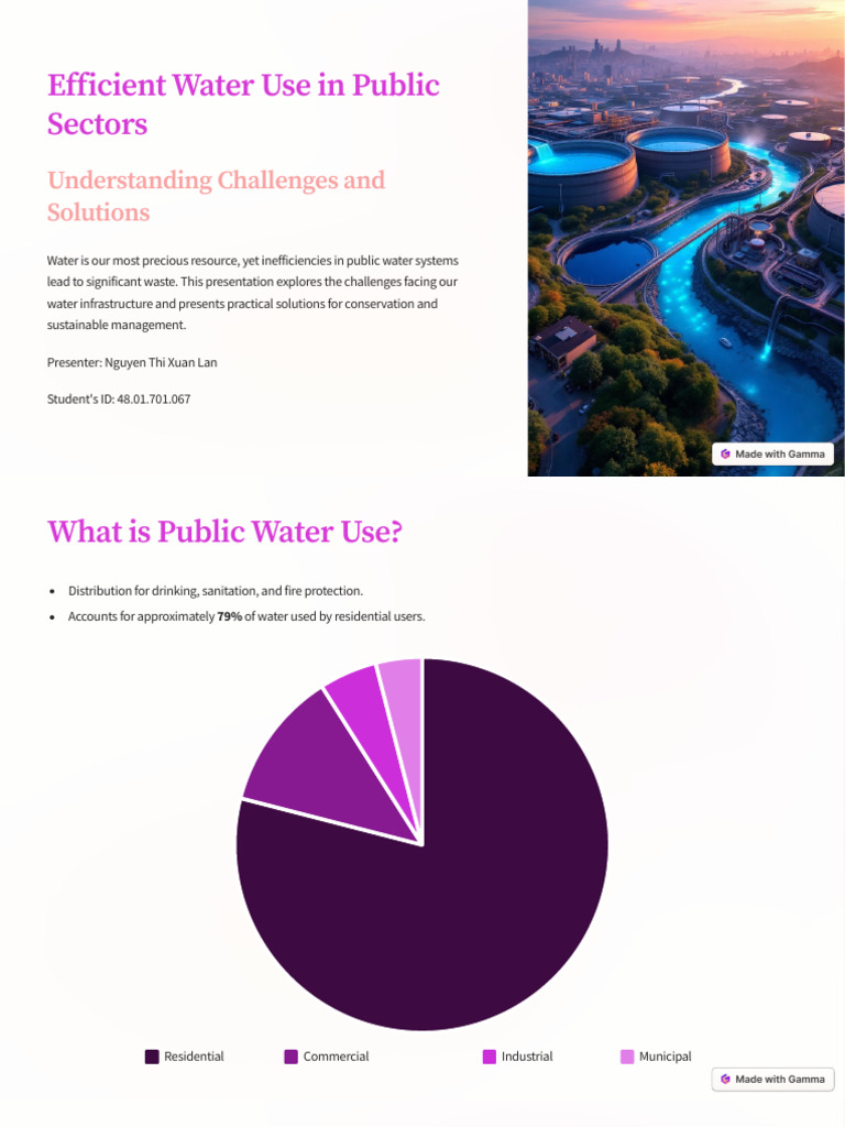 Efficient Water Use in Public Sectors | PDF | Infrastructure | Water