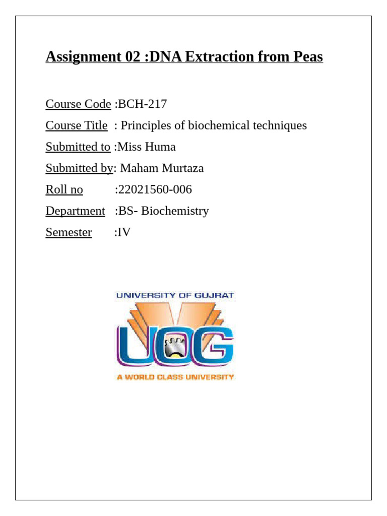 Assignment 02 Techniques | PDF