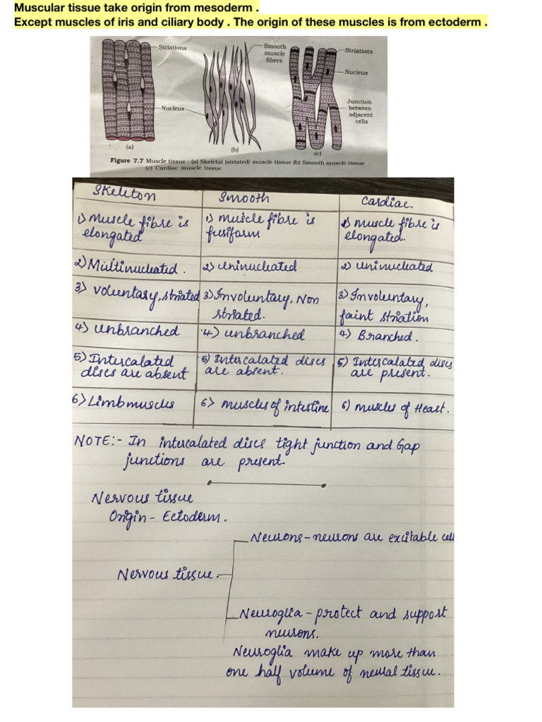 Tissue Crash Course 2025 | PDF