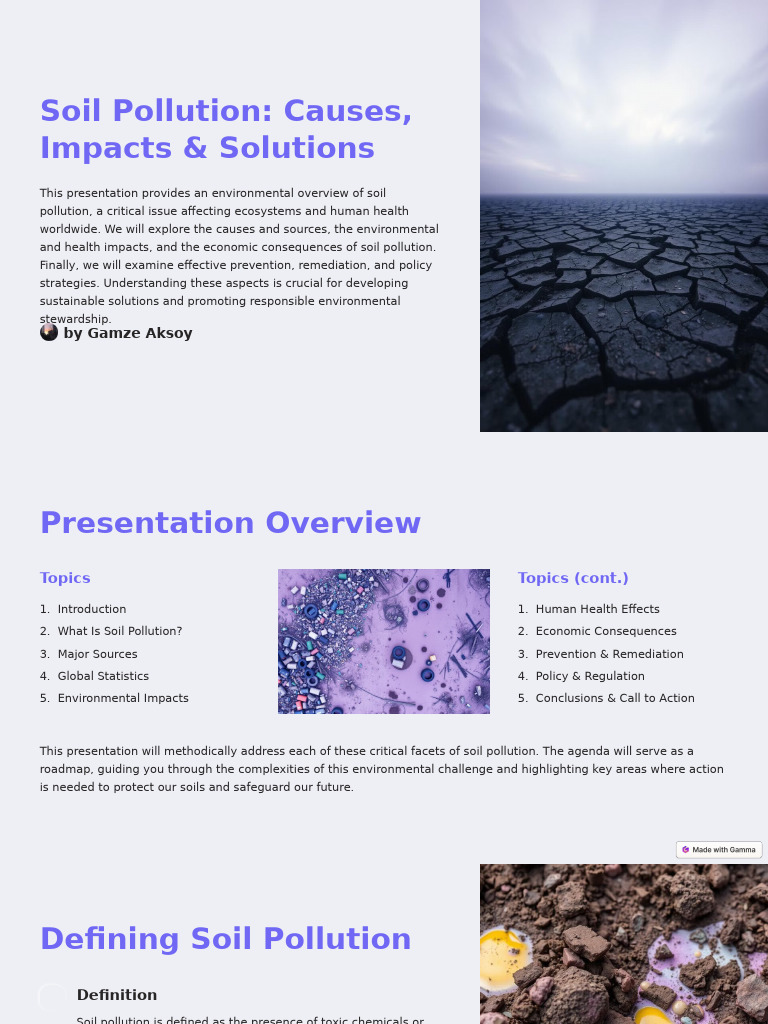 Soil-Pollution-Causes-Impacts-and-Solutions | PDF | Pollution | Soil
