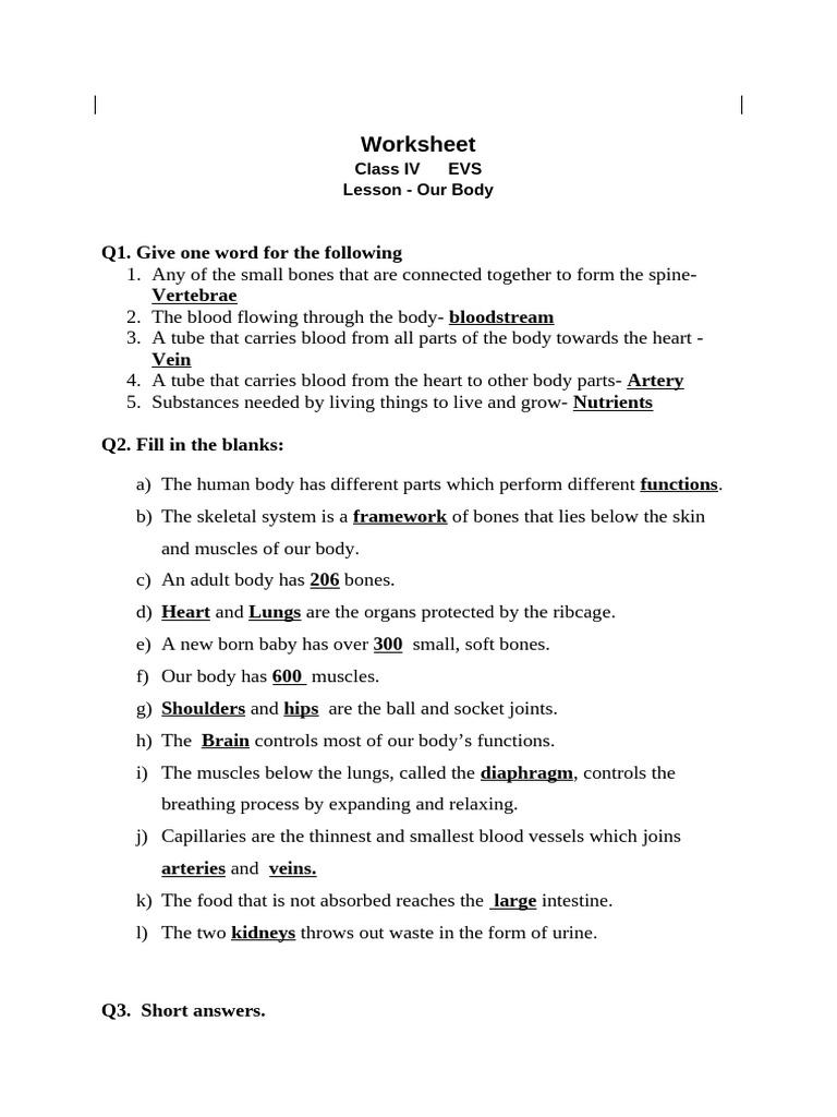 Chapter-1 Worksheet Class IV EVS 1 - ANSWER KEY | PDF | Human Body | Circulatory System