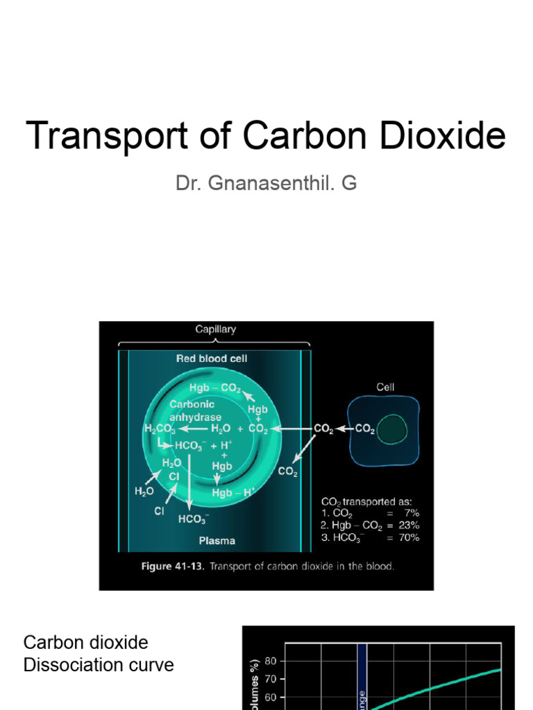 Transport of Carbon Dioxide | PDF