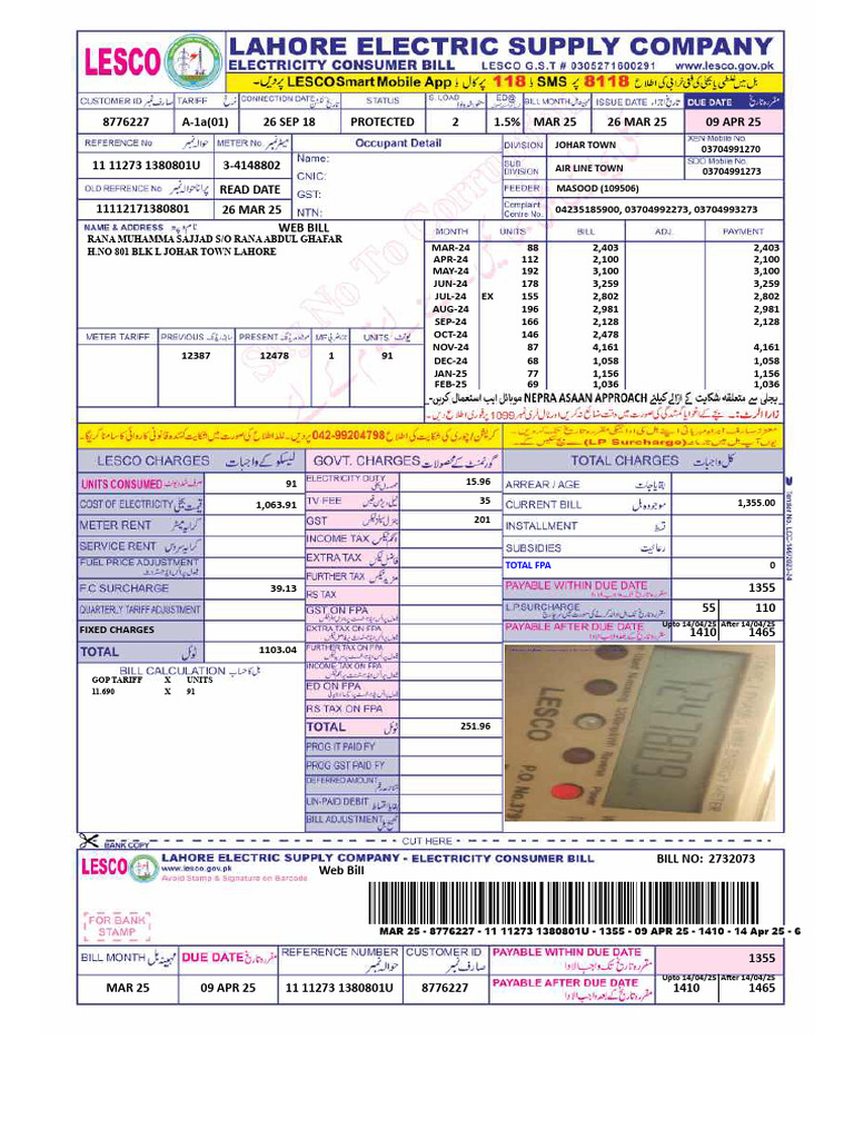 Web Bill Summary for March 2025 | PDF