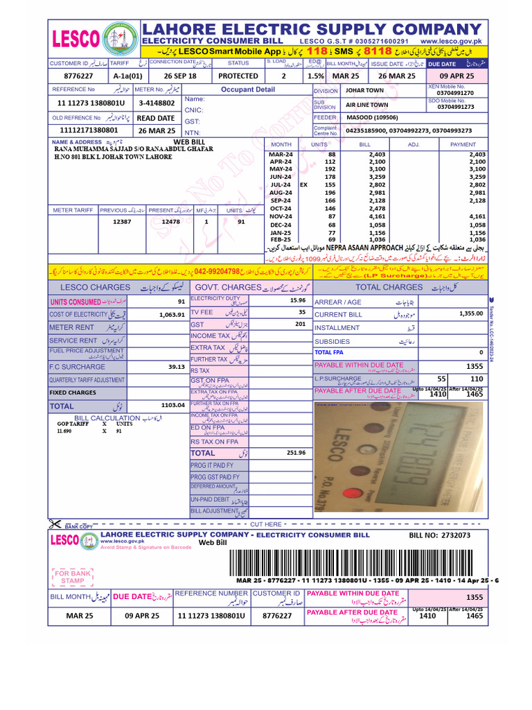 Lesco- Web Bill | PDF