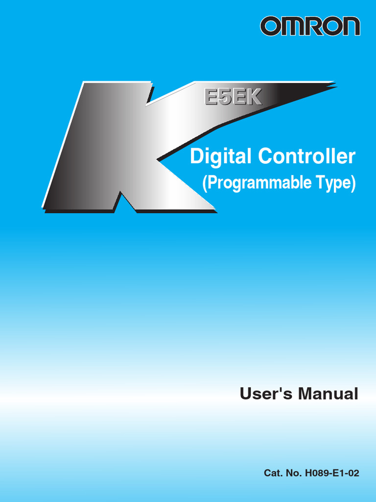 Visco Controller | PDF | Parameter (Computer Programming) | Relay