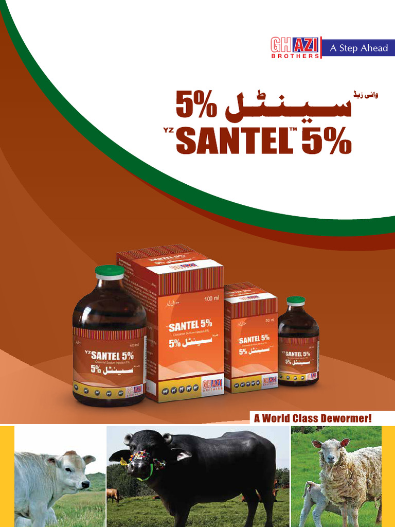 Santel | PDF