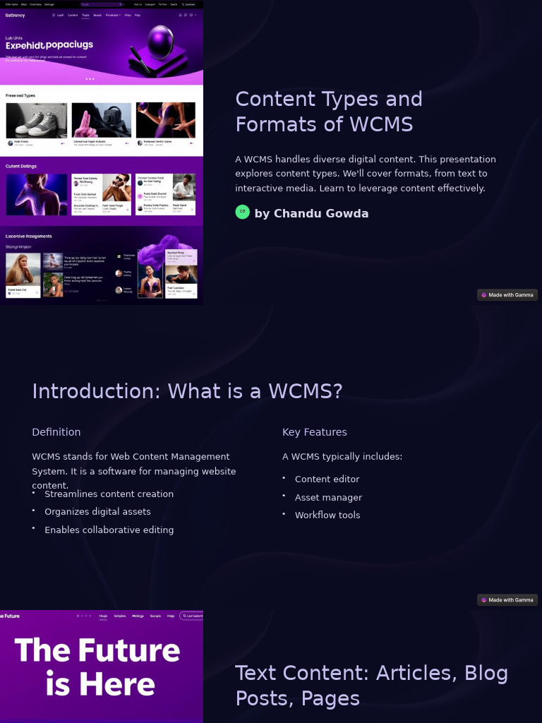 WCMS Content Types and Formats Explained | PDF | Websites | Infographics