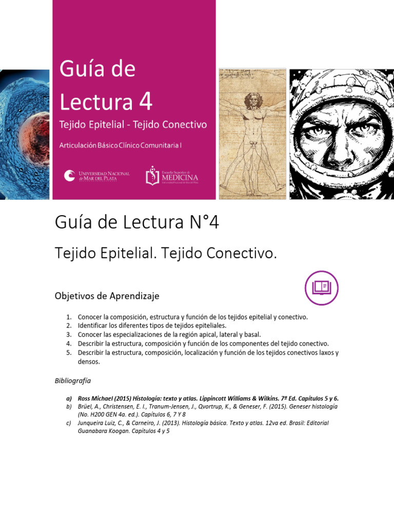 Arti 1. 2025 TP N4. Tejido Epitelial y Conectivo | PDF | Epitelio | Tejido conectivo