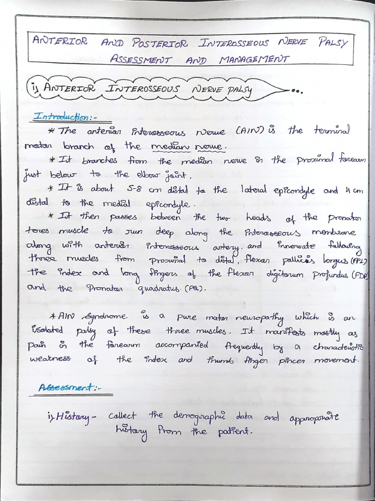 Ant and Post Interosseous Nerve Palsy Management | PDF