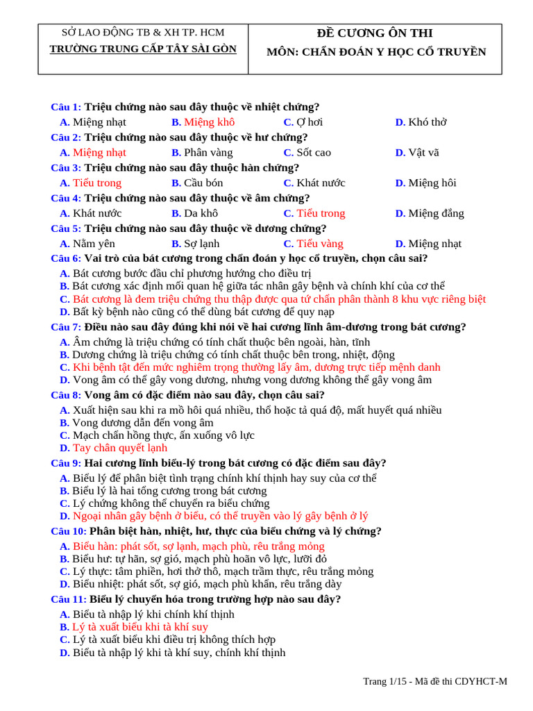 De Cuong Chan Doan Yhct - 200 | PDF