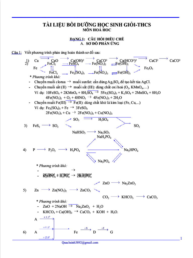 Các Chuyên Đề Ôn Hsg | PDF