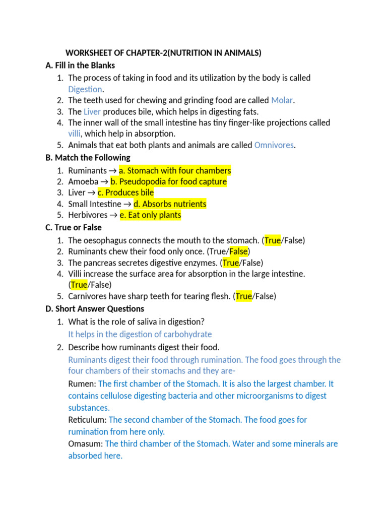 Worksheet of Chapter-2 (Nutrition in Animals) | PDF | Digestion | Small ...