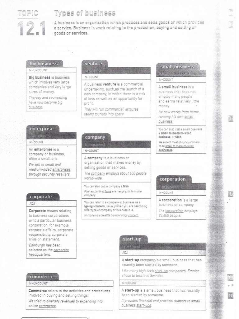 Types of Business | PDF