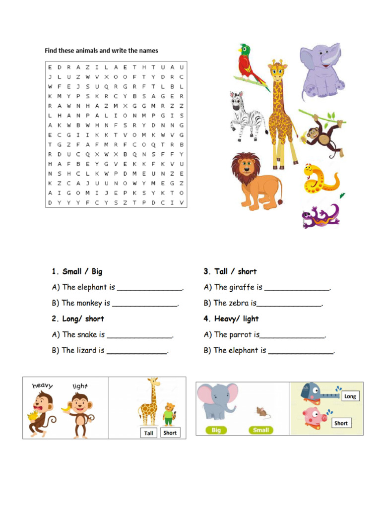 ANIMALS Body Parts - Review | PDF