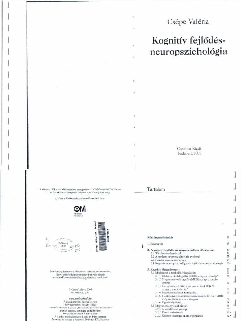 Csepe Valeria Kognitiv Fejlődes Neuropszichologia | PDF