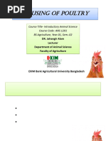 Pearson Square Method for Ration Formulation | PDF | Animal Feed | Maize